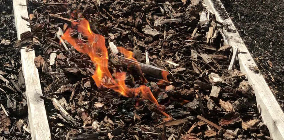 Mulch Flammability | Okanagan Xeriscape Association
