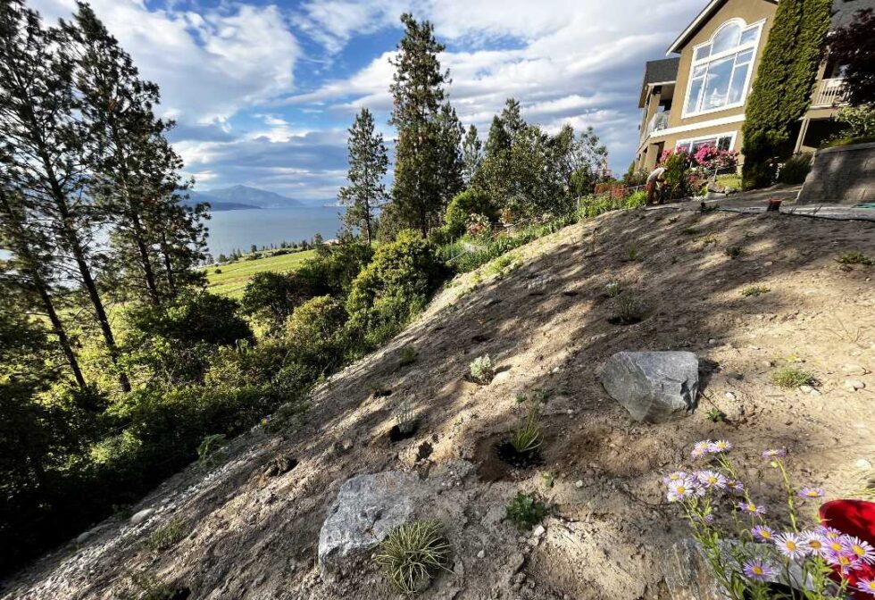 Plants for Slope Retention | Okanagan Xeriscape Association